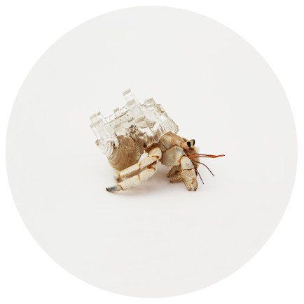 3D Printed Architectural Hermit Crab Shells by Aki Inomata | Spoon & Tamago