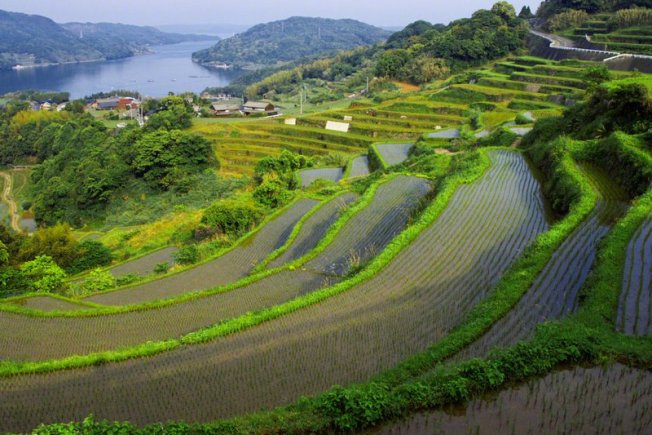 Japan’s Vanishing Terraced Rice Fields | Spoon & Tamago