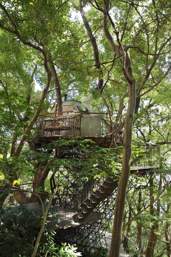 Japan’s Largest Treehouse is a Sprawling Structure Built Around a 300 ...