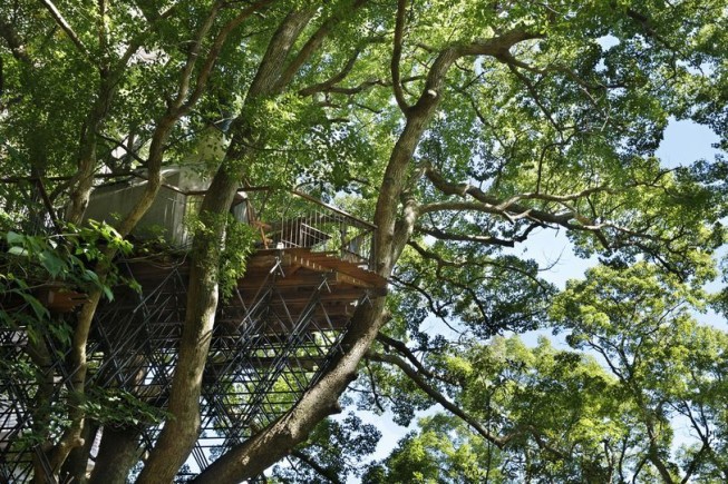 Japan’s Largest Treehouse is a Sprawling Structure Built Around a 300 ...