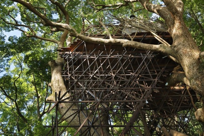 Japan’s Largest Treehouse is a Sprawling Structure Built Around a 300 ...