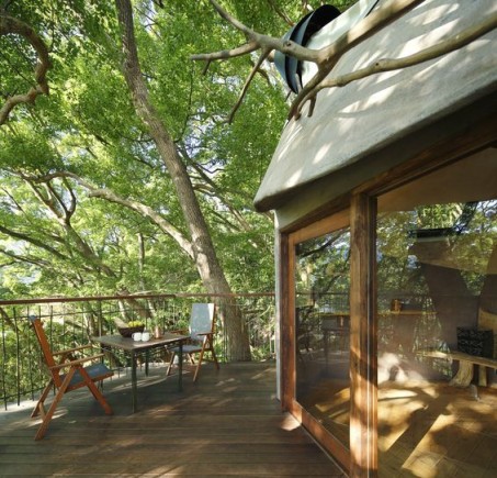 Japan’s Largest Treehouse is a Sprawling Structure Built Around a 300 ...
