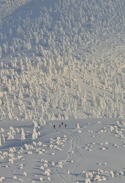 Sho Shibata Captures the Snow Monsters of Northern Japan | Spoon & Tamago