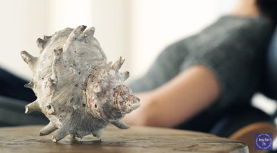 Radios Made From Real Turban Seashells | Spoon & Tamago