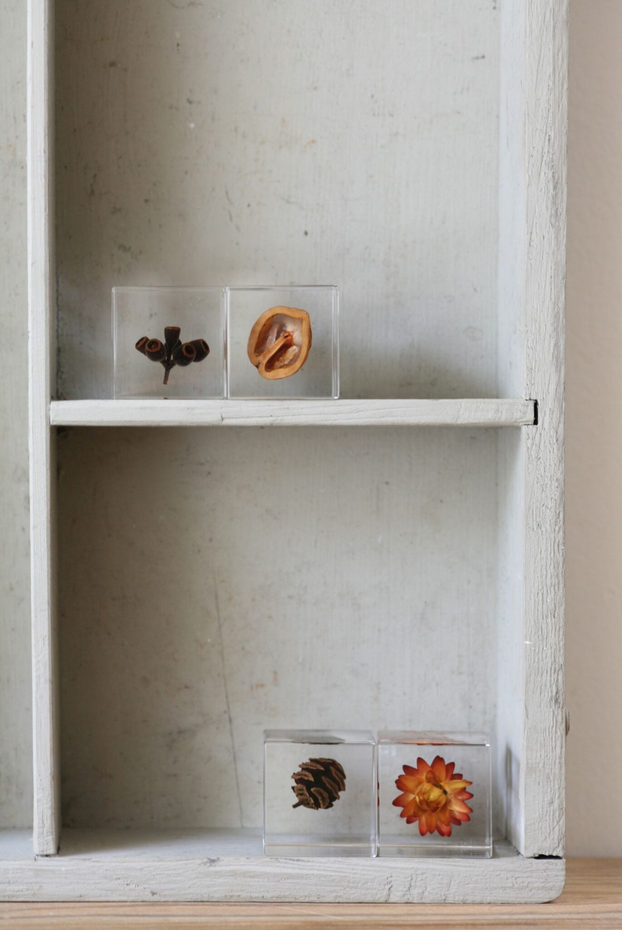 Sola Cube: Elements of Nature Encapsulated in Resin | Spoon & Tamago