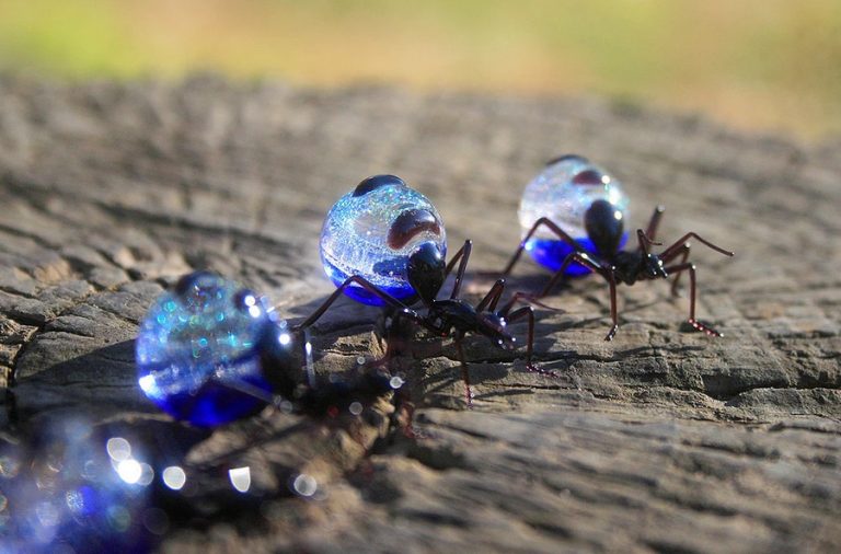 Realistic Glass Insects Sculpted to Scale by Yuki Tsunoda | Spoon & Tamago