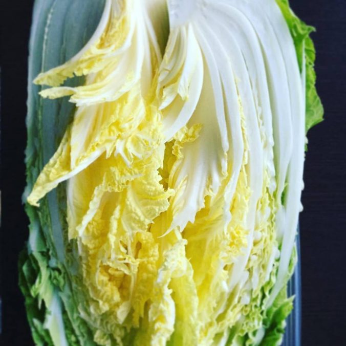 Picklestone: A New Revolutionary Tool to Create Pickles | Spoon & Tamago