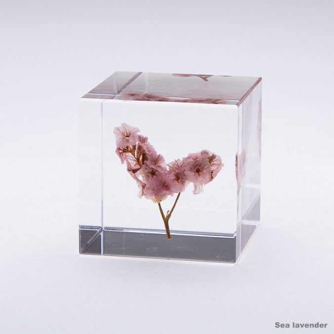 New Objects of Nature Preserved in Acrylic Cubes | Spoon & Tamago