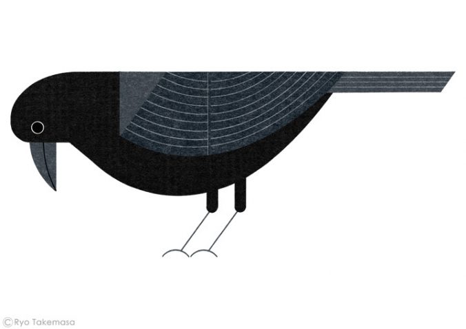 The Birds of Tokyo Beautifully Illustrated by Ryo Takemasa | Spoon & Tamago