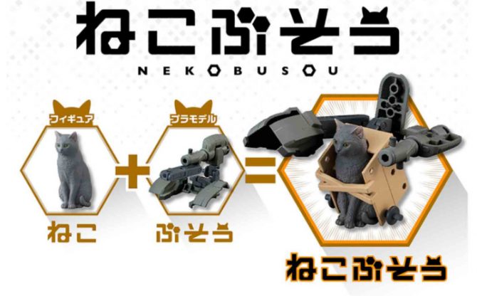 From Prank to Product: Nekobusou (Armored Cats) | Spoon & Tamago