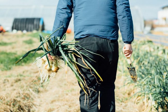 These Japanese Garden Tools Will Make You Want a Green Thumb | Spoon ...