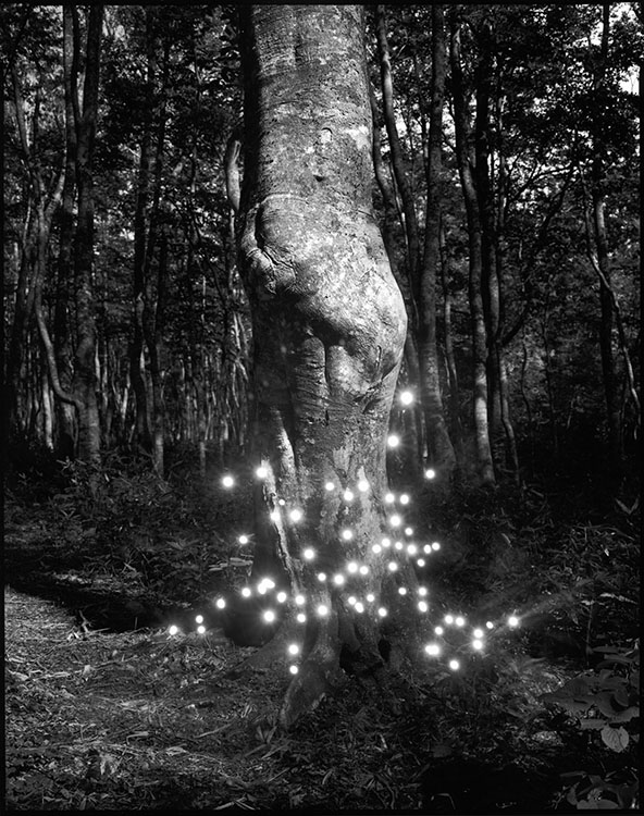 Tokihiro Sato Illuminates His Own Movements in Long Exposure ...