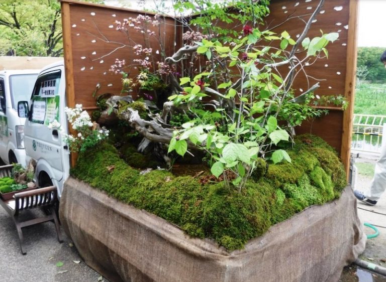 Japan’s Kei-tora ‘Mini Truck’ Gardening Contest | Spoon & Tamago