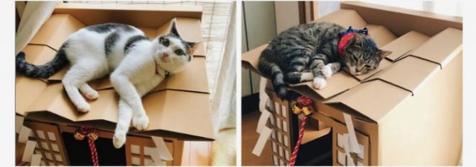 Turn Your Feline Into a God With This Cardboard Shinto Shrine for Cats ...