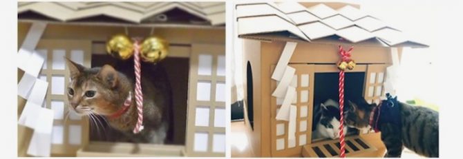 Turn Your Feline Into a God With This Cardboard Shinto Shrine for Cats ...