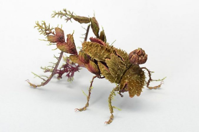 Intricate, Imaginary Resin Insects by Hiroshi Shiino | Spoon & Tamago