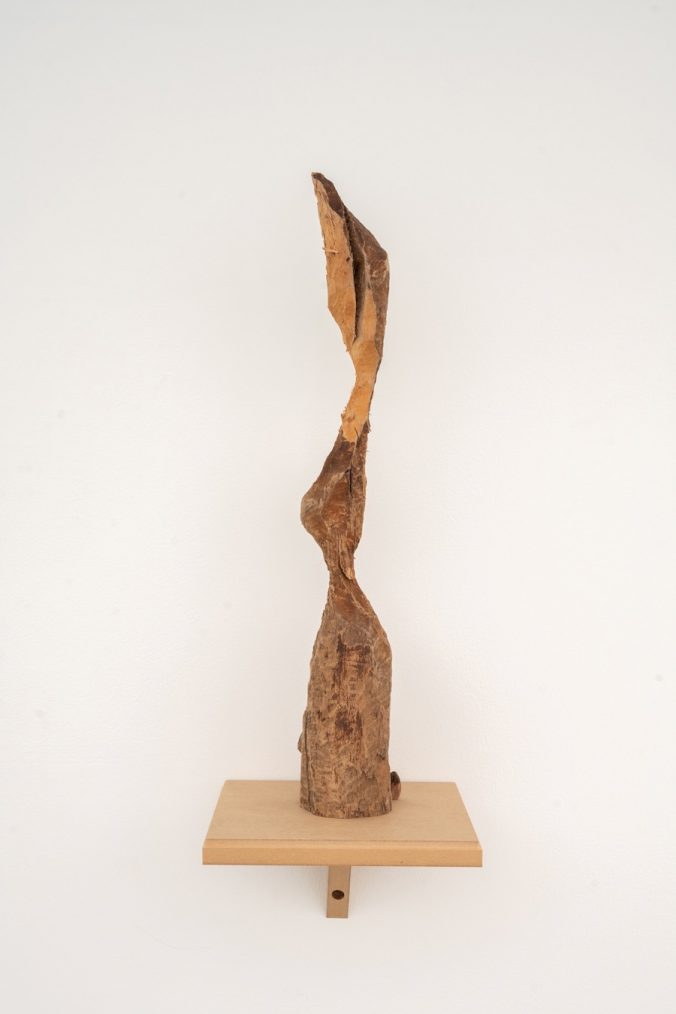 Aki Inomata Collaborates with Beavers to Create Sculptures that ...