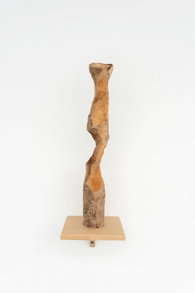 Aki Inomata Collaborates with Beavers to Create Sculptures that ...