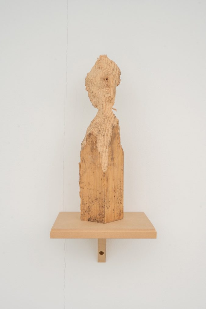 Aki Inomata Collaborates with Beavers to Create Sculptures that ...