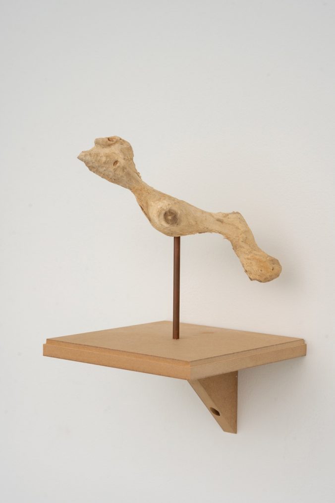 Aki Inomata Collaborates with Beavers to Create Sculptures that ...