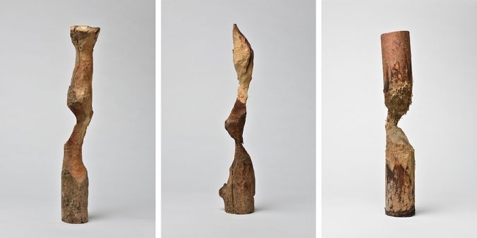 Aki Inomata Collaborates with Beavers to Create Sculptures that ...