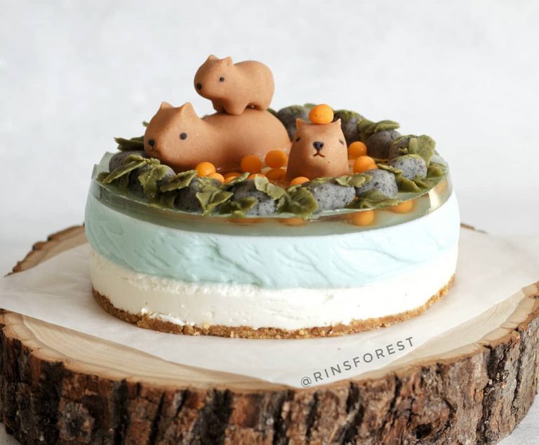 Capybara Onsen Cheesecake | Spoon & Tamago