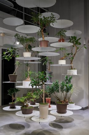 Circular Pedestals Suspend Vegetation in Midair at REN, a Specialty ...