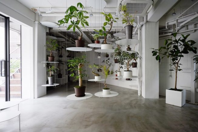 Circular Pedestals Suspend Vegetation in Midair at REN, a Specialty ...