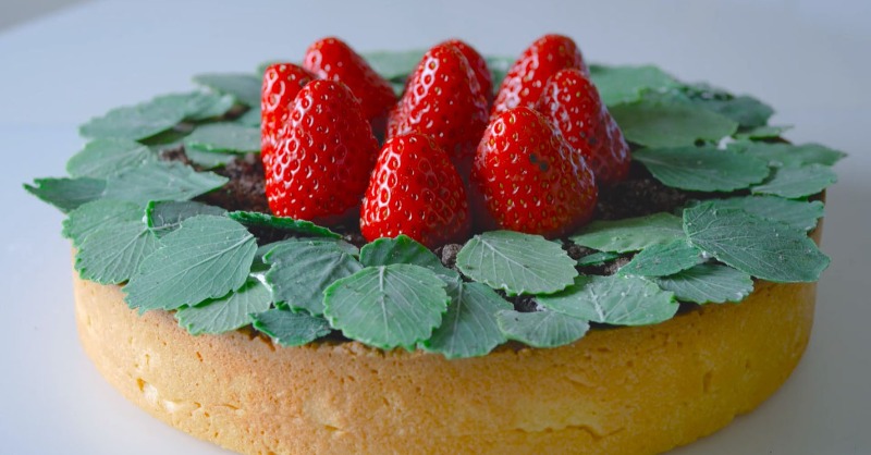 Literal Sponge Cake, and Other Creative Confections by LowIQ | Spoon ...