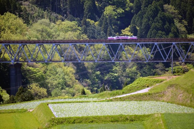The Amaterasu Railway Now Runs on Leftover Tonkotsu Ramen Broth | Spoon ...