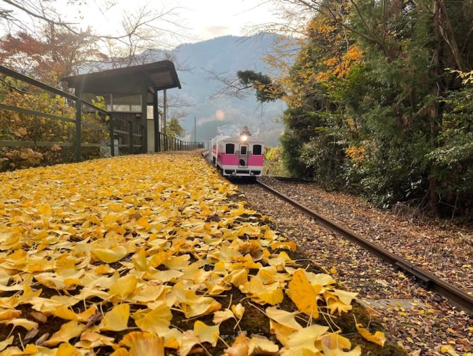 The Amaterasu Railway Now Runs on Leftover Tonkotsu Ramen Broth | Spoon ...
