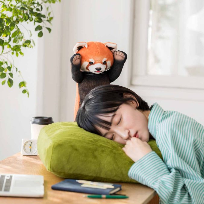 New Pillow Lets You Nap While Being Threatened by an Adorable Red Panda ...