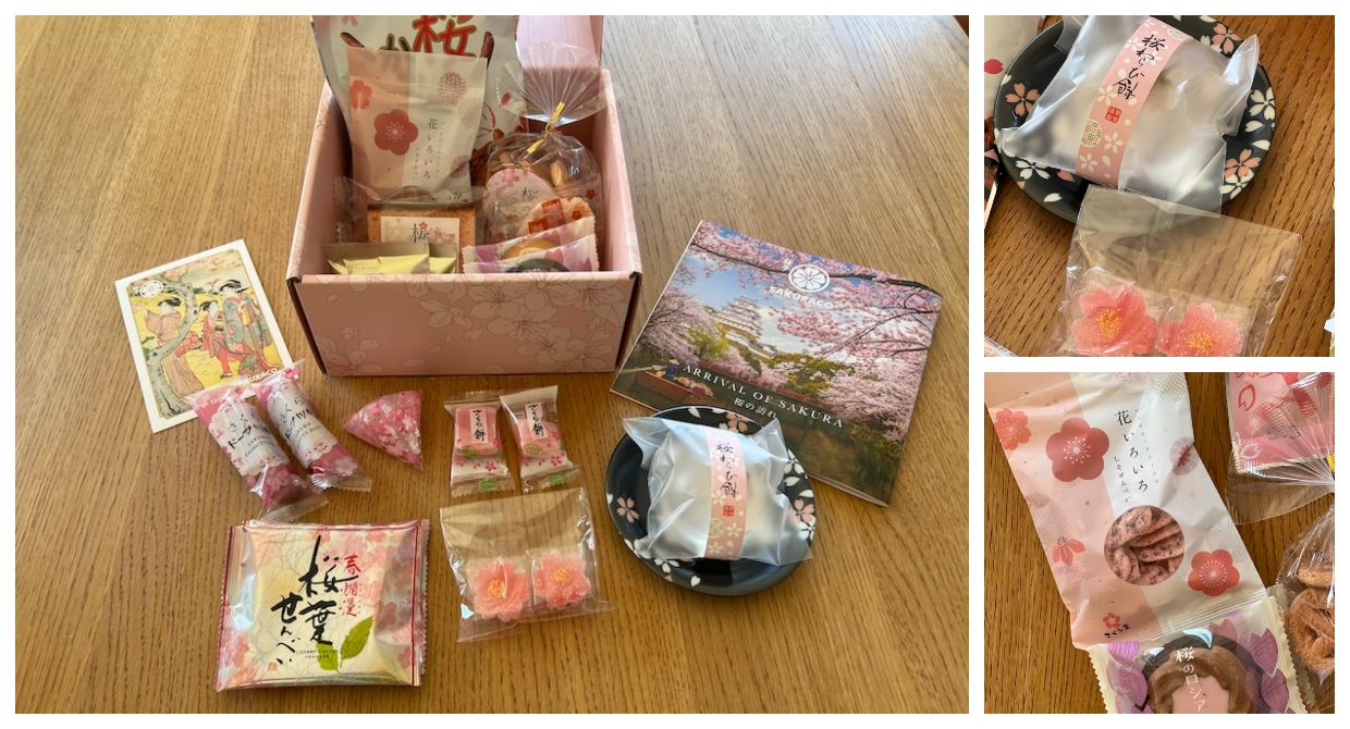 Welcome Cherry Blossom Season Into Your Home with Sakuraco’s Sakura ...