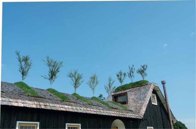 Cherry Blossom Trees Sprout From Terunobu Fujimori’s ‘Kodamari Fuji ...
