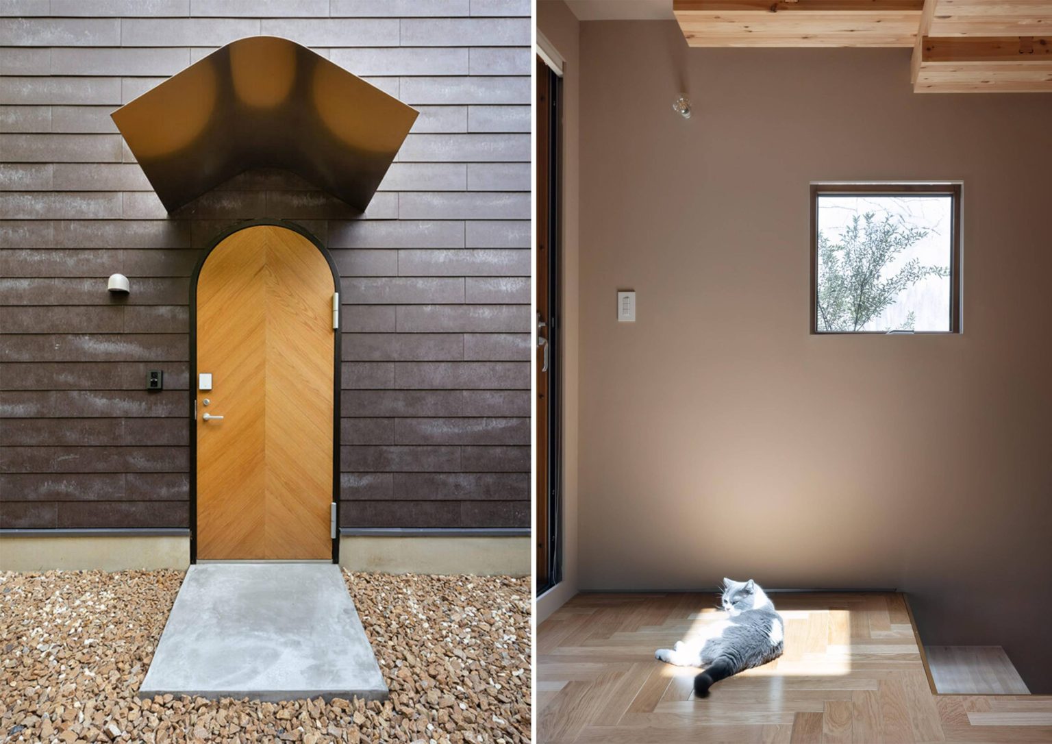 Tan Yamanouchi’s New House Speaks to His Cats’ Desires | Spoon & Tamago