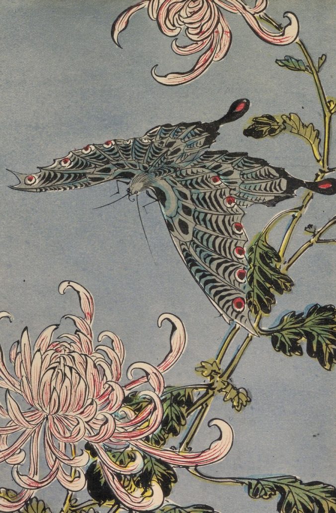 Download Over 30 Butterfly Designs by Meiji-Era Artist Yuho Tanaka ...