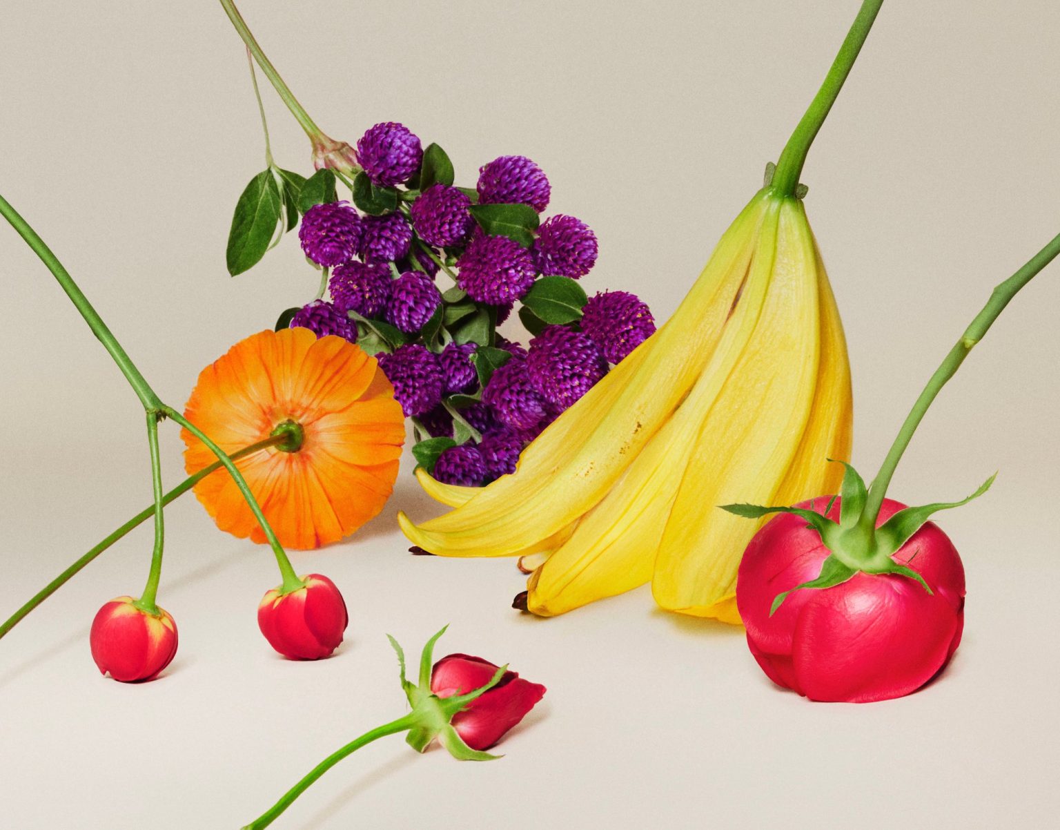 Fruit, Not What it Appears to be in Artfully Arranged Compositions by ...