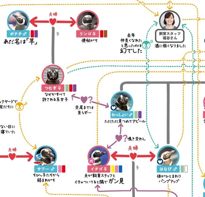 Japanese Aqarium’s Flowchart Illustrates the Complex Relationships of ...