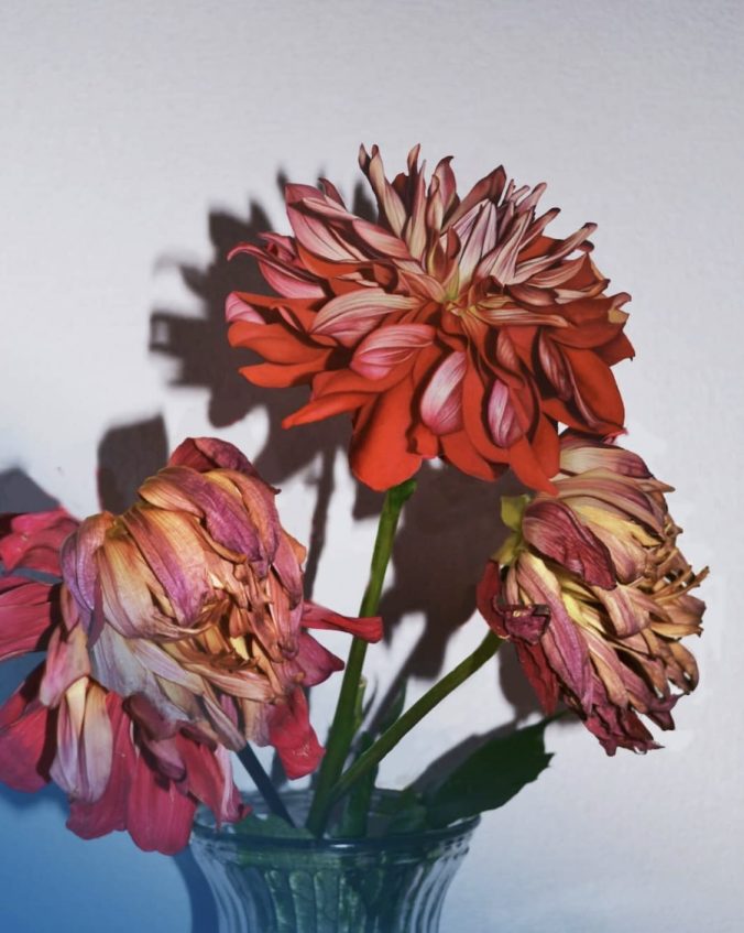 Tomona Matsukawa’s Realistic Paintings Reconstruct Fragments of ...