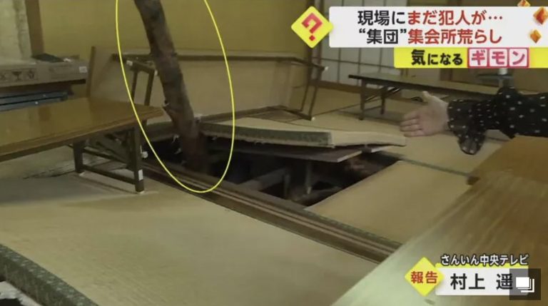 This is the Time of Year Bamboo Shoots Grow, Sometimes Wreaking Havoc ...