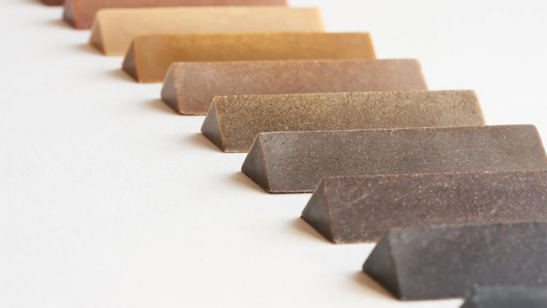 Forest Crayons Derived Solely From a Different Species of Tree Native ...