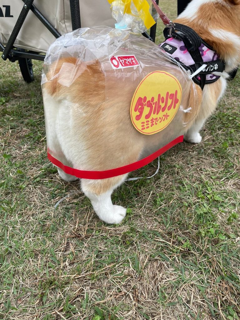 Japan’s Jimi ‘Mundane’ Halloween Costumes of 2024 | Spoon & Tamago